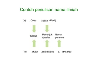 BAB 2-3 Klasifikasi Makhluk Hidup - (dicariguru.com).ppt