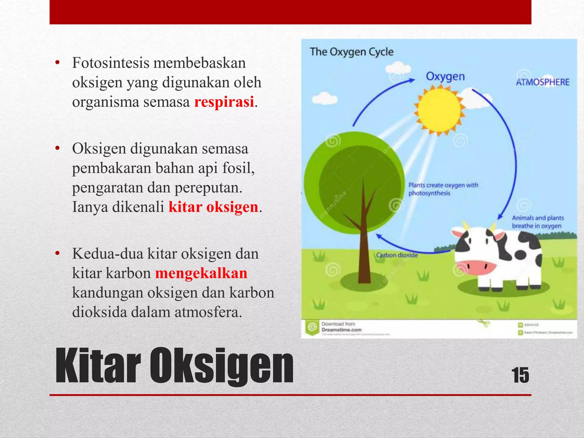 Bab 2 Ekosistem T2 2018 | PPTX