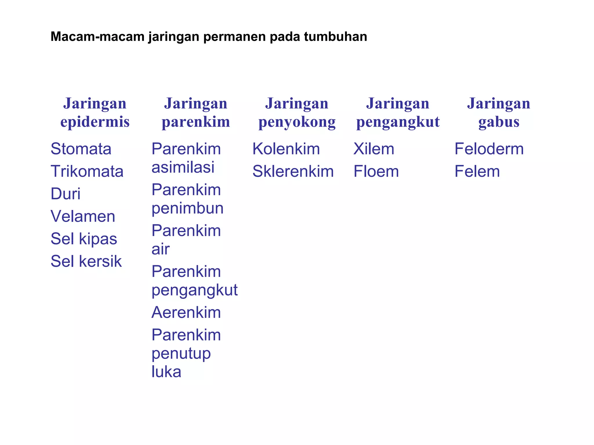 JARINGAN TUMBUHAN | PPT