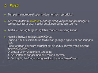 BAB 2 - SISTEM REPRODUKSI.ppt