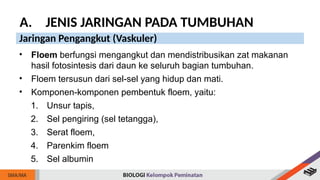 BAB 2 - STRUKTUR DAN JARINGAN PADA TUMBUHAN | PPTX