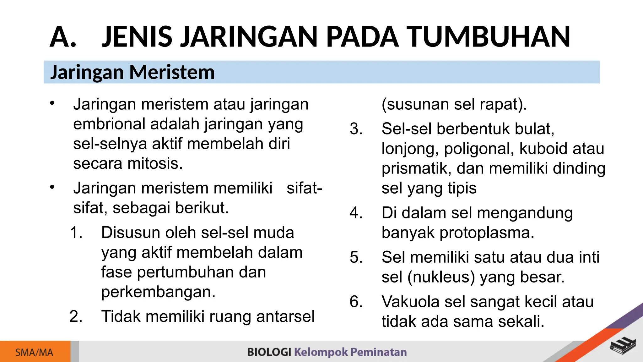struktur, bentuk dan fungsi jaringan tumbuhan | PPTX