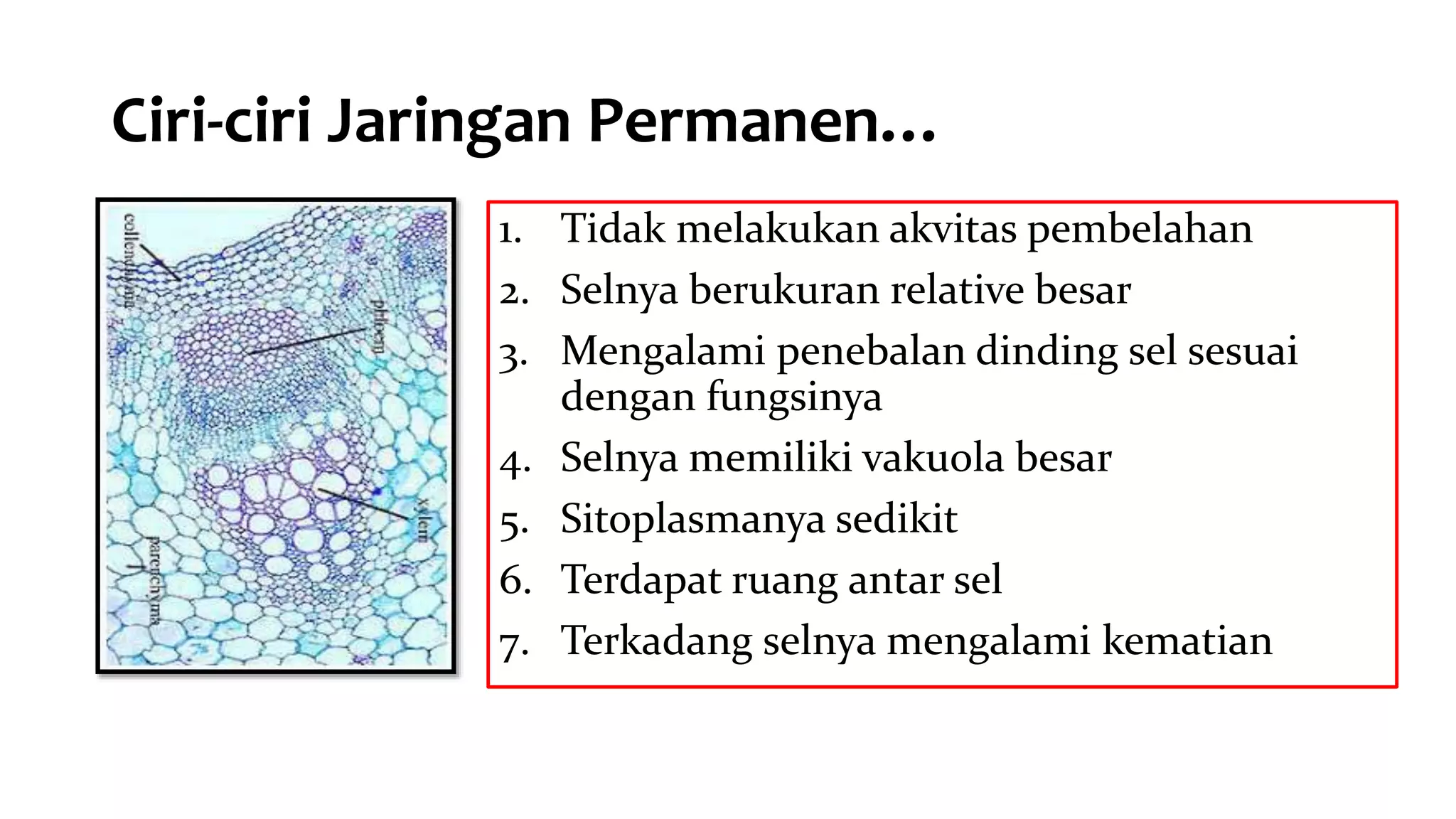 BAB 2 - Struktur Jaringan pada Tumbuhan.pptx