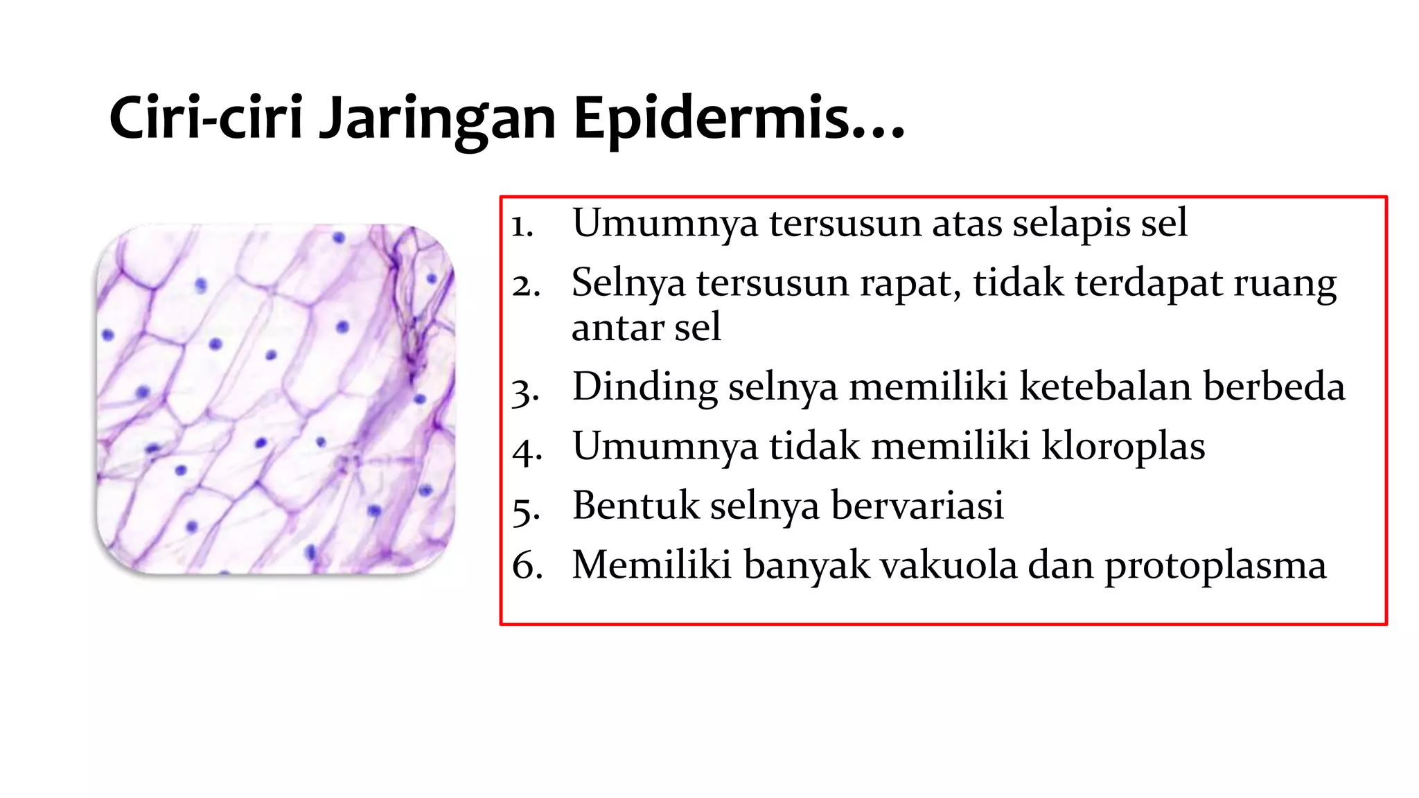BAB 2 - Struktur Jaringan pada Tumbuhan.pptx