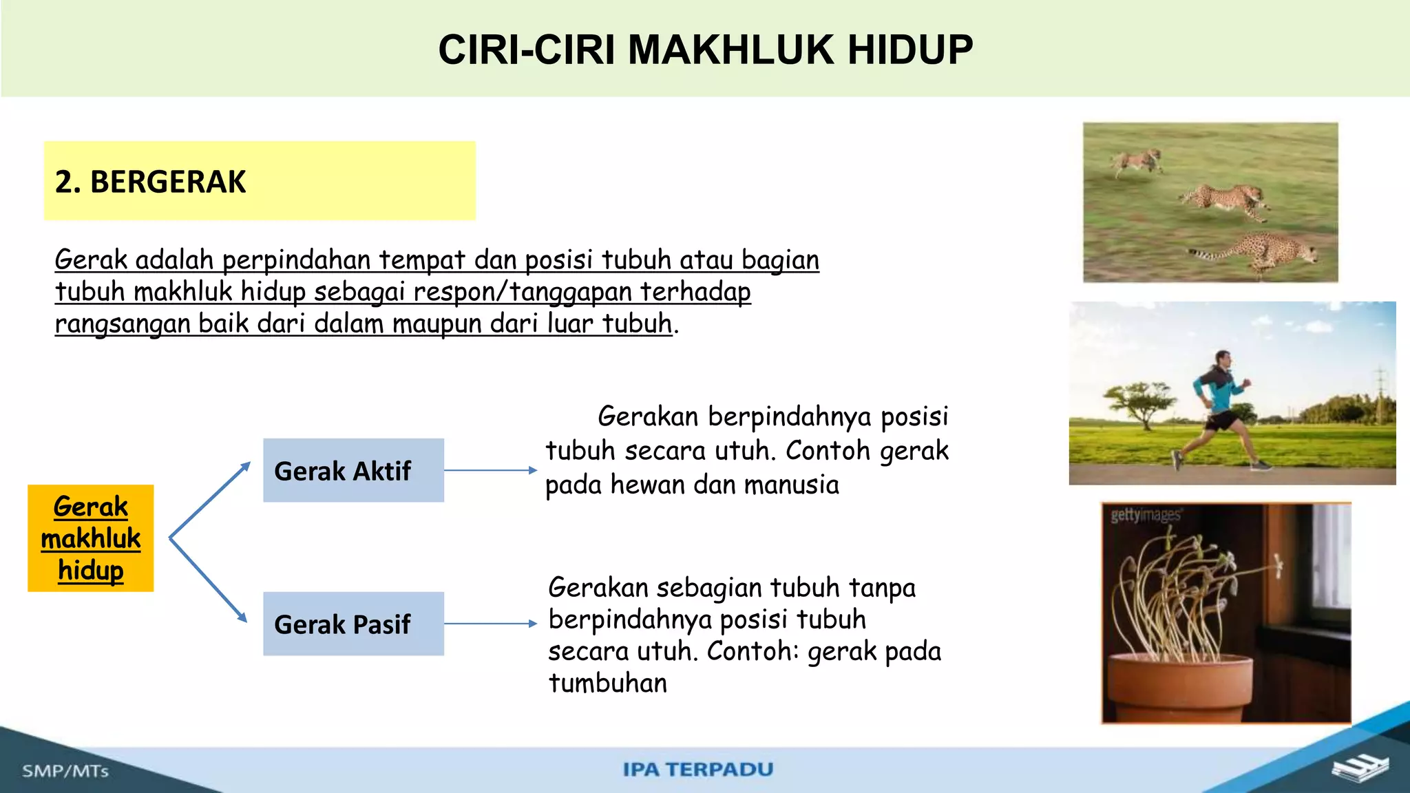 Bab 2 Ciri - Ciri Makhluk Hidup.pptx