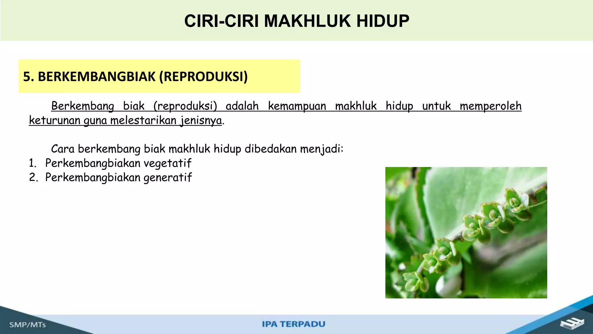 Bab 2 Ciri - Ciri Makhluk Hidup.pptx
