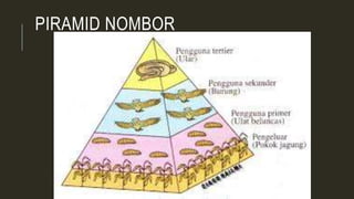 Bab 2 ekosistem | PPTX