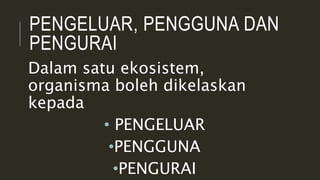 Bab 2 ekosistem | PPTX