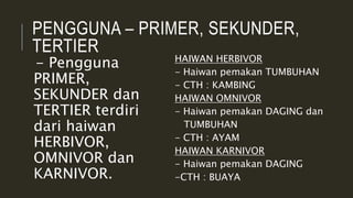 Bab 2 ekosistem | PPTX