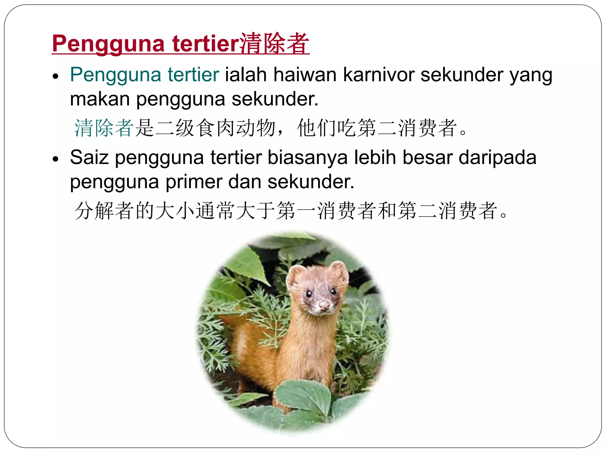 【华语翻译】SAINS KSSM Tingkatan 2 Bab2 ekosistem | PPTX