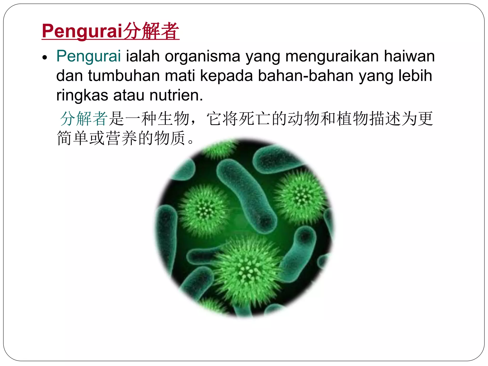 华语翻译 Sains Kssm Tingkatan 2 Bab2 Ekosistem Pptx