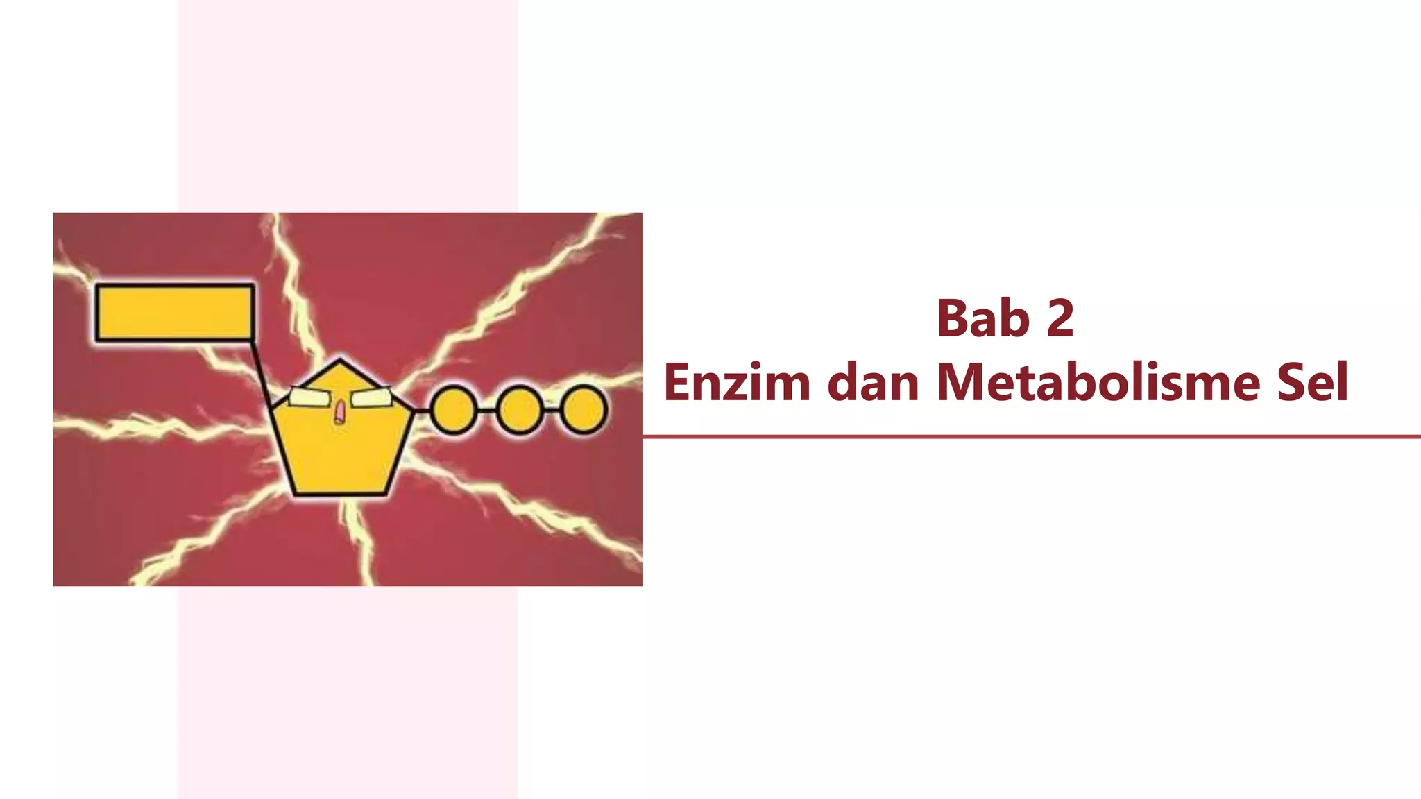 BAB 2 ENZIM DAN METABOLISME 2.pptx