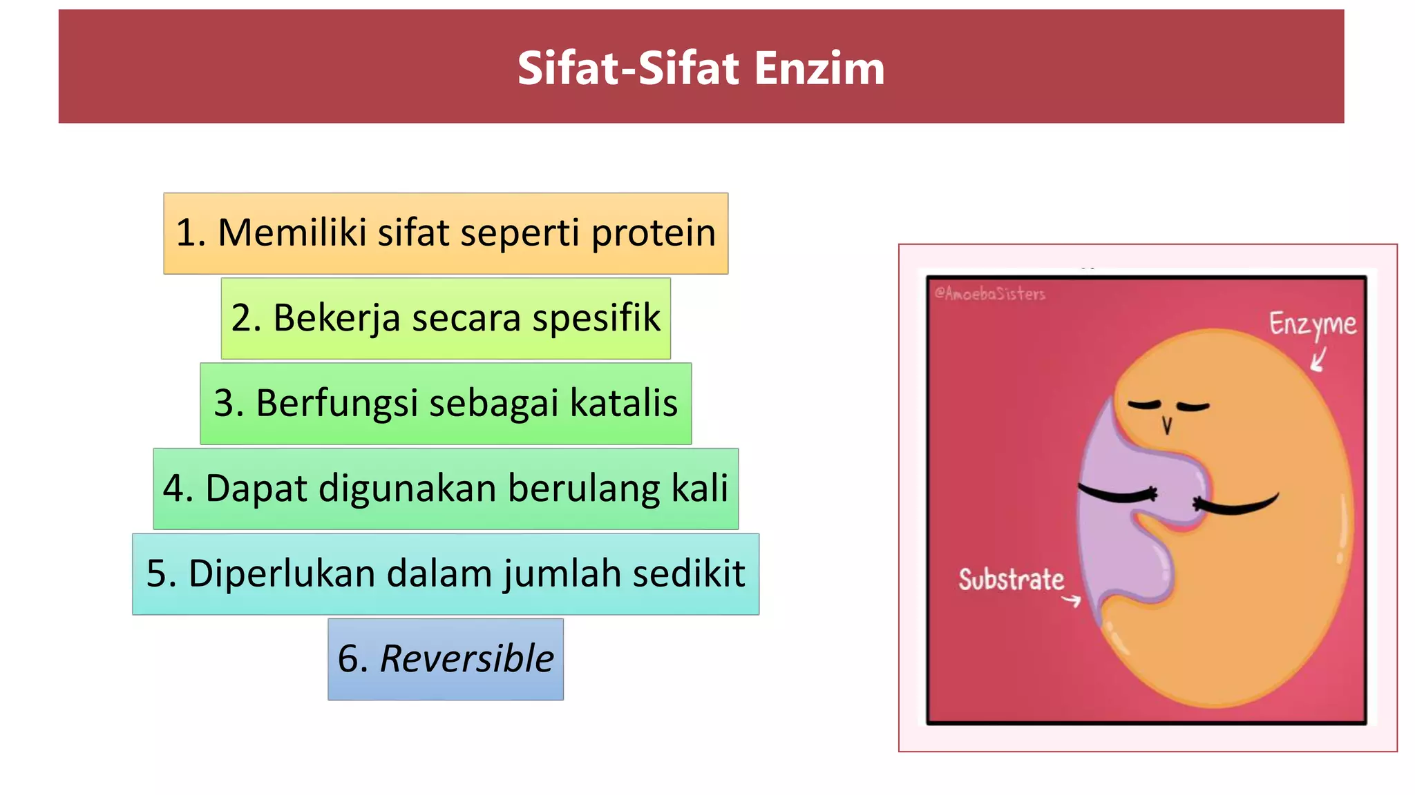 BAB 2 ENZIM DAN METABOLISME 2.pptx