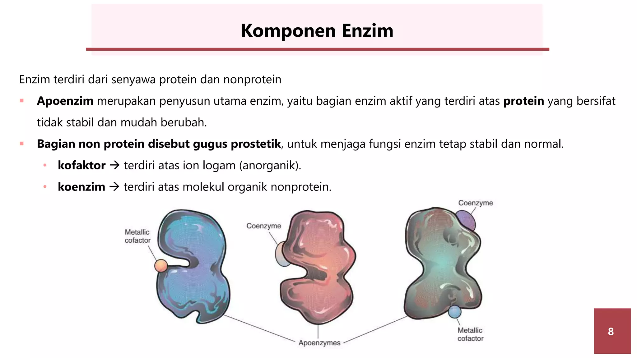 BAB 2 ENZIM DAN METABOLISME 2.pptx