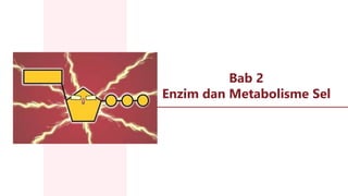 BAB 2 ENZIM DAN METABOLISME 2.pptx
