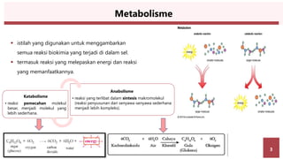 BAB 2 ENZIM DAN METABOLISME 2.pptx