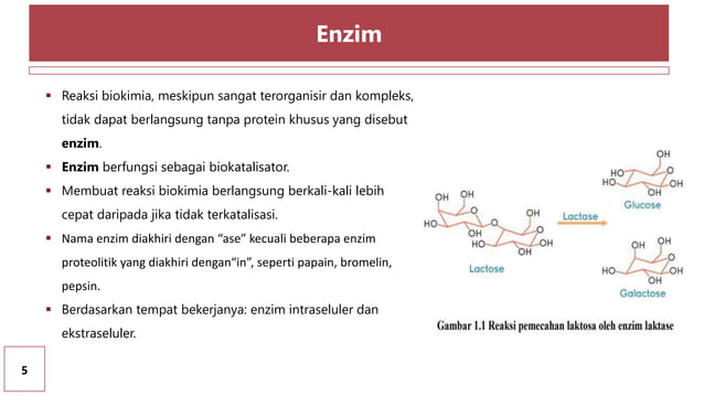BAB 2 ENZIM DAN METABOLISME 2.pptx