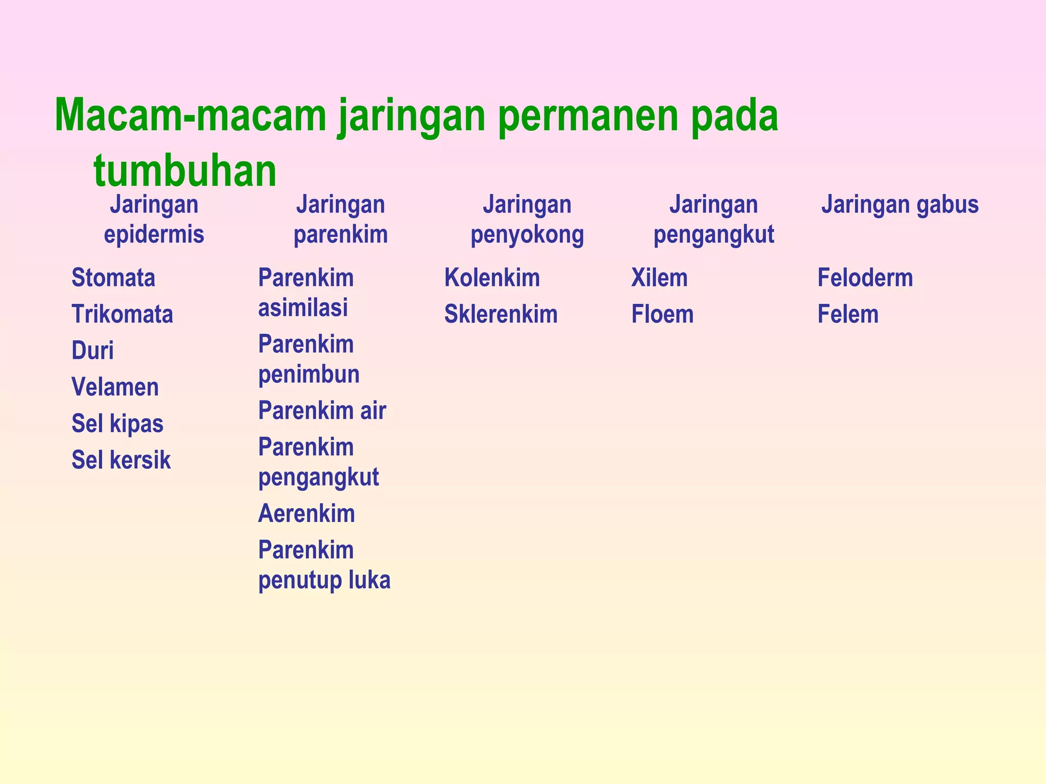 Bab 2 jaringan tumbuhan | PPT
