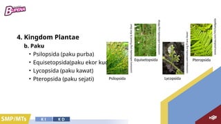 Bab2 klasifikasi Makhluk Hidup IPA Kls 7.pptx