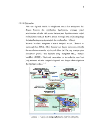 Bab 2 makrofag | PDF