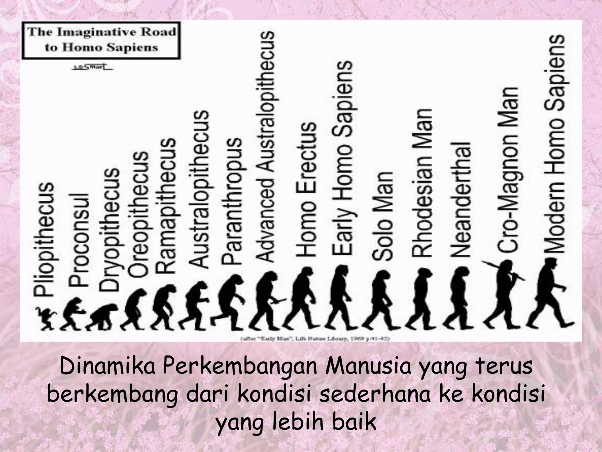 Bab 2 Kehidupan Awal Masyarakat Indonesia-Manusia Purba | PPT