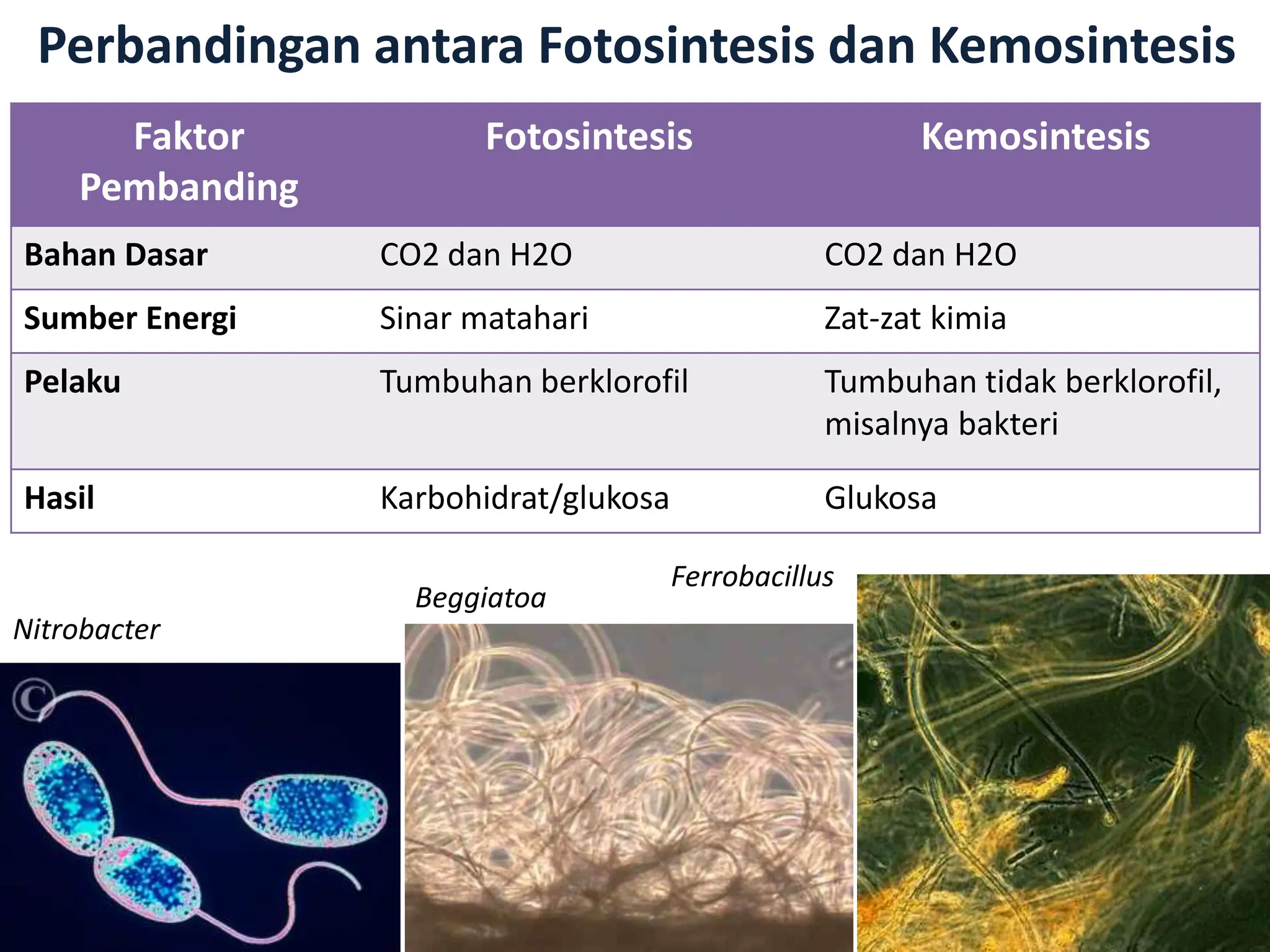 Bab 2 Metabolisme sma/ma biologi katabolisme anabolisme | PPTX