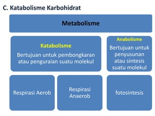 Bab 2 Metabolisme sma/ma biologi katabolisme anabolisme | PPTX