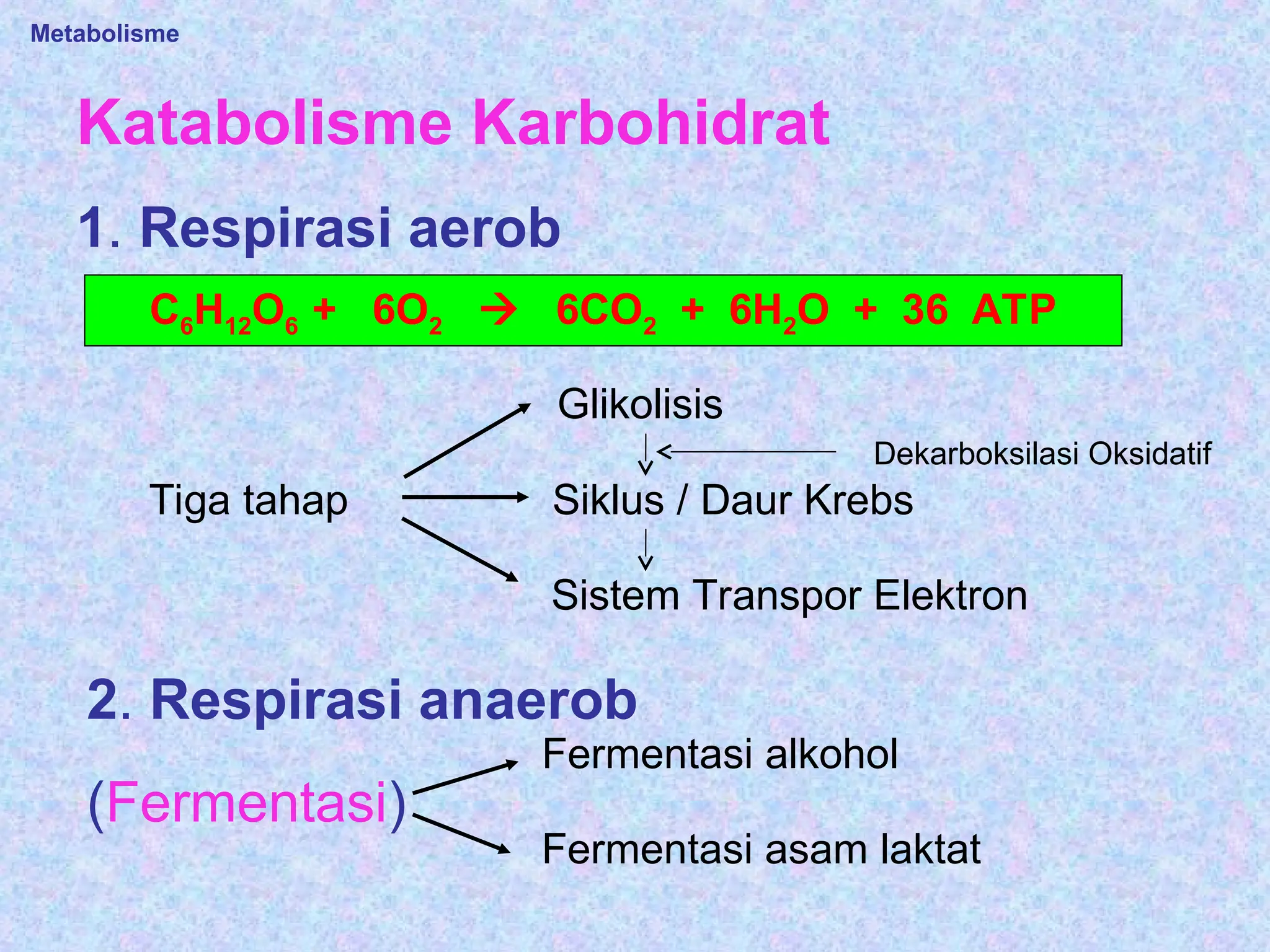 Biologi - Metabolisme (Enzim, Katabolisme, Anabolisme).ppt