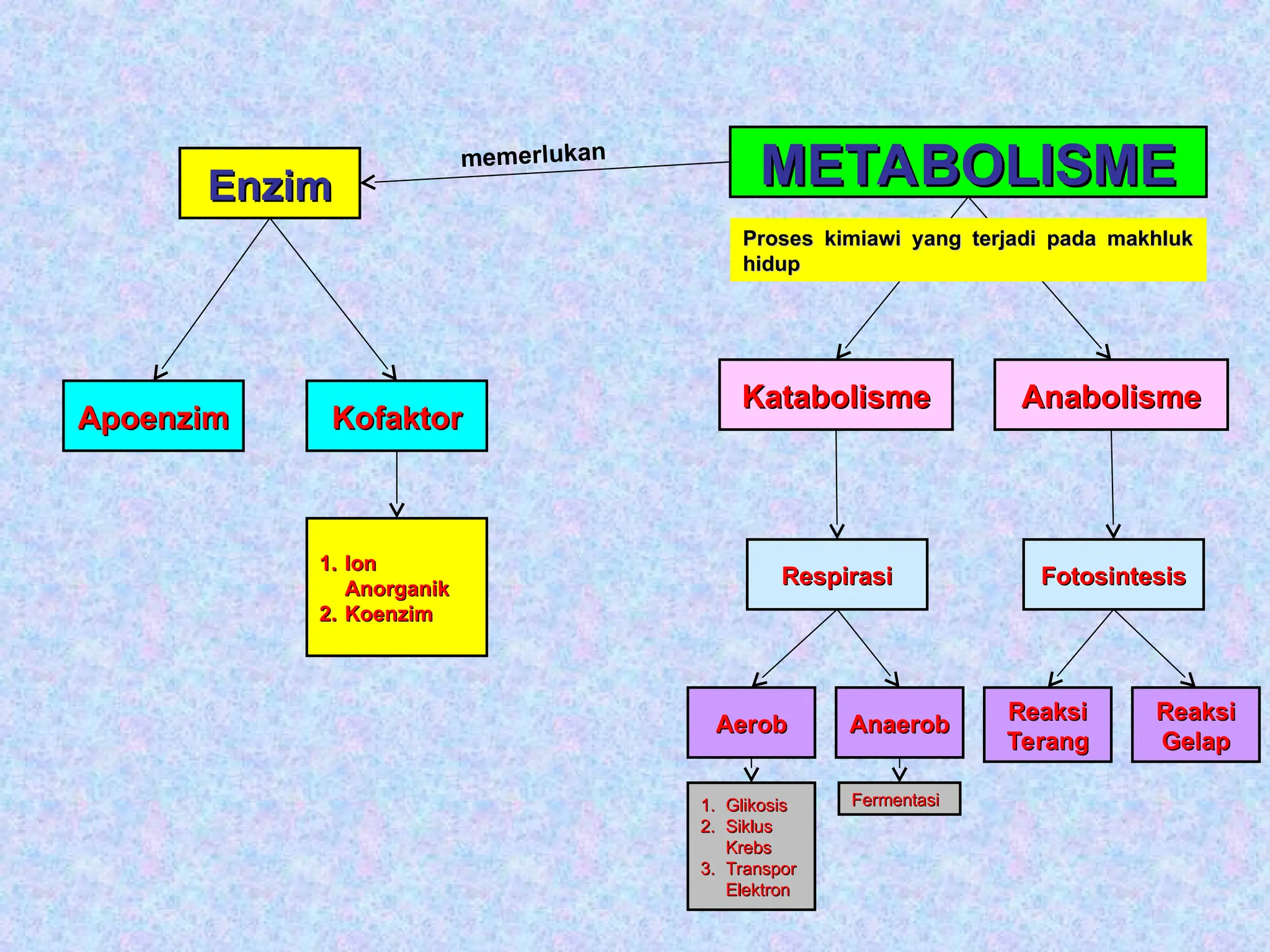 Biologi - Metabolisme (Enzim, Katabolisme, Anabolisme).ppt