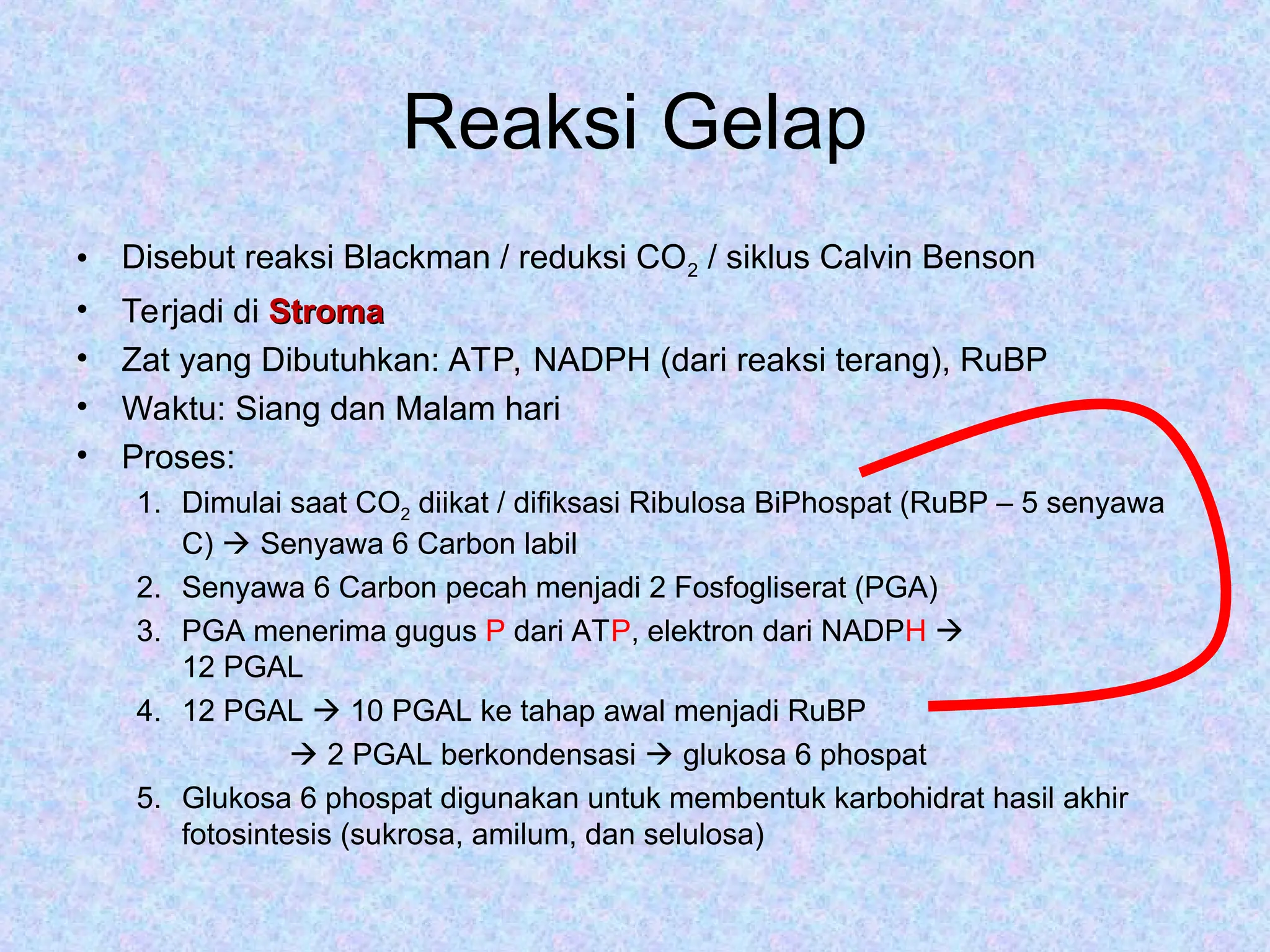 Biologi - Metabolisme (Enzim, Katabolisme, Anabolisme).ppt