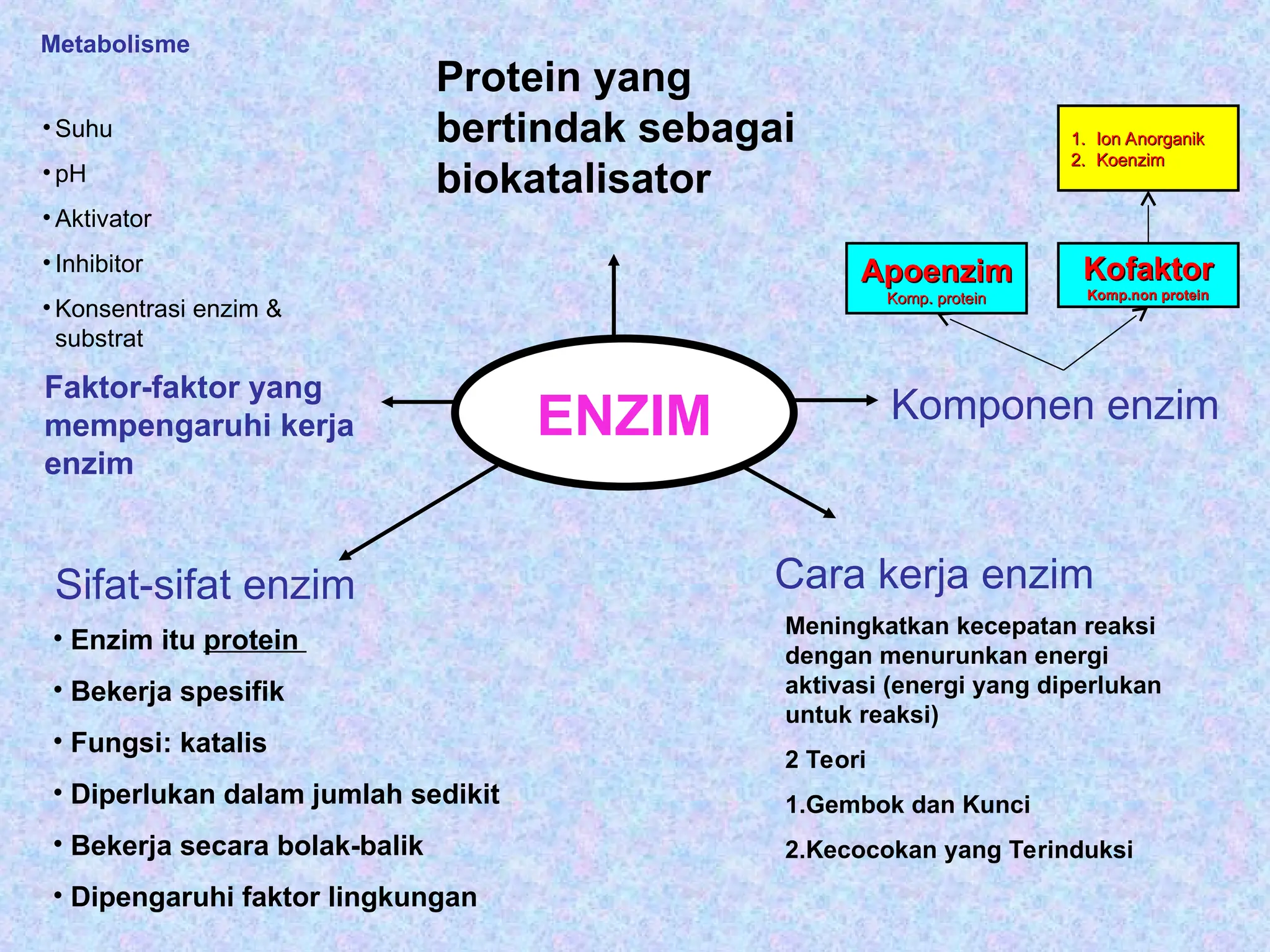 Biologi - Metabolisme (Enzim, Katabolisme, Anabolisme).ppt