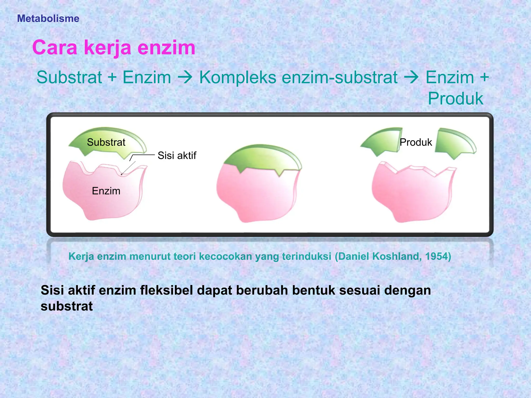 Biologi - Metabolisme (Enzim, Katabolisme, Anabolisme).ppt
