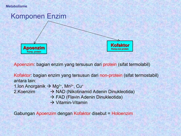 Biologi - Metabolisme (Enzim, Katabolisme, Anabolisme).ppt