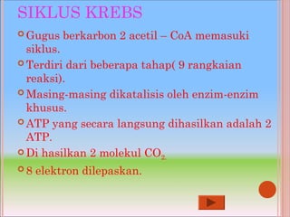 presentasi mata pelajaran biologi tentang metabolisme | PPT