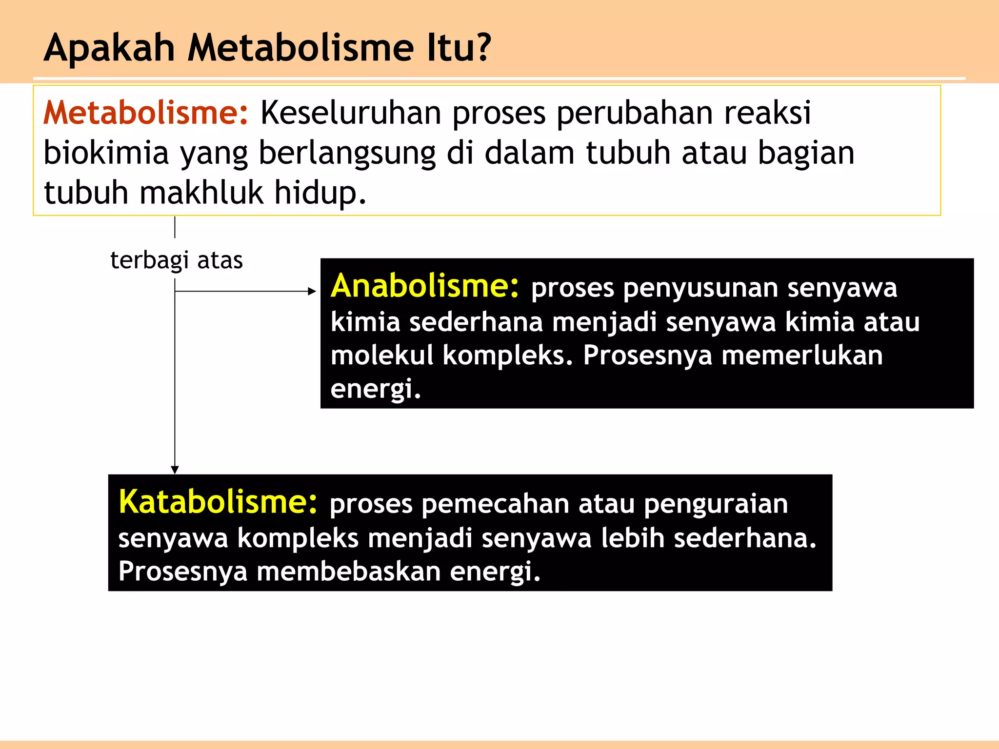 Bab 2 metabolisme organisme kelas XII SMA | PPT
