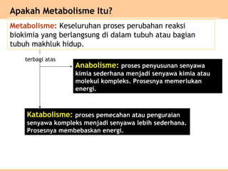 Bab 2 metabolisme organisme kelas XII SMA | PPT