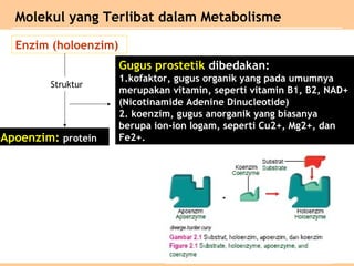 Bab 2 metabolisme organisme kelas XII SMA | PPT