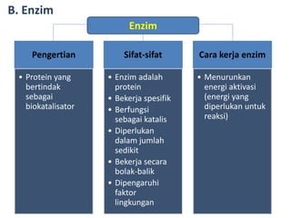 Bab 2 Metabolisme_ www.kampusimpian.com.pptx