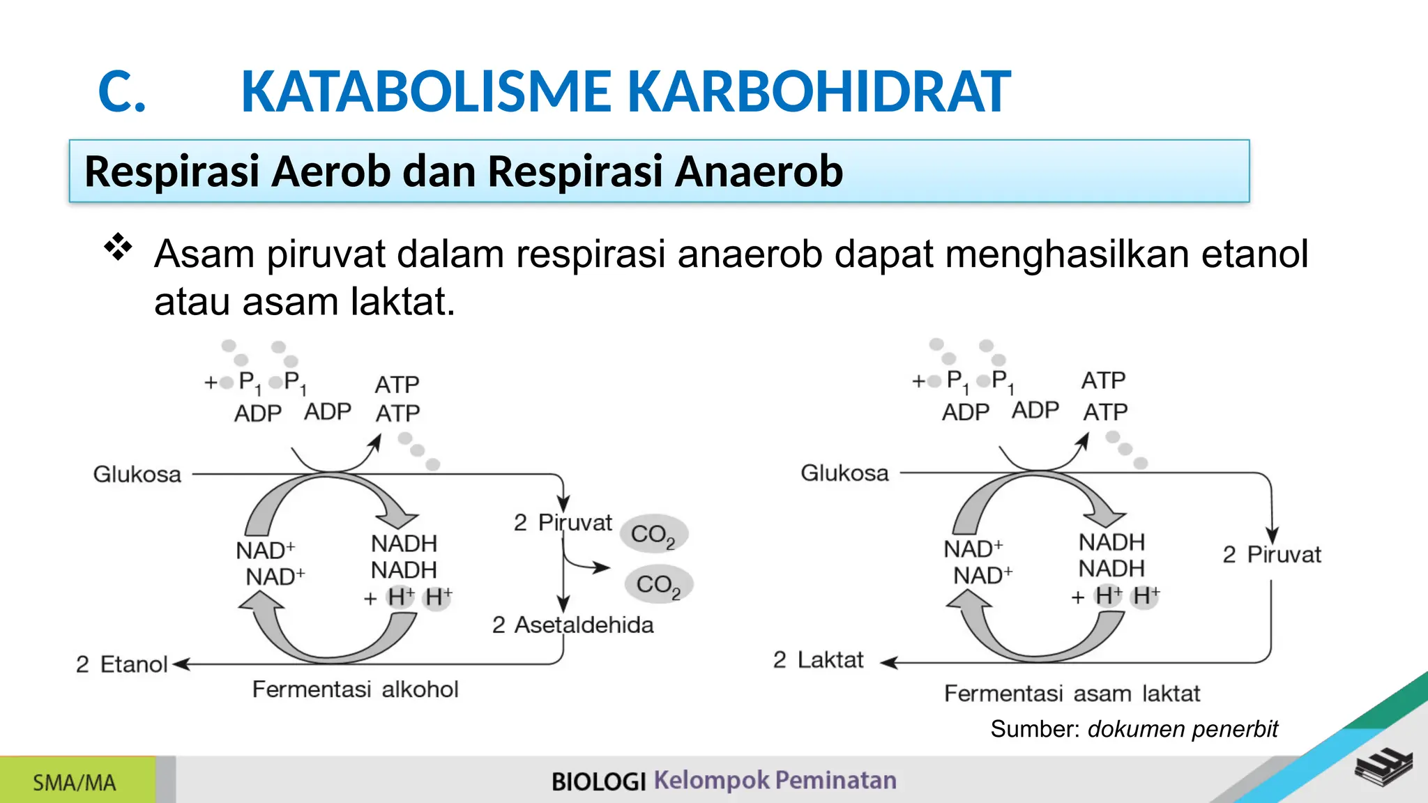BAB 2 enzim dan metabolisme kelas XII Fpptx | PPTX