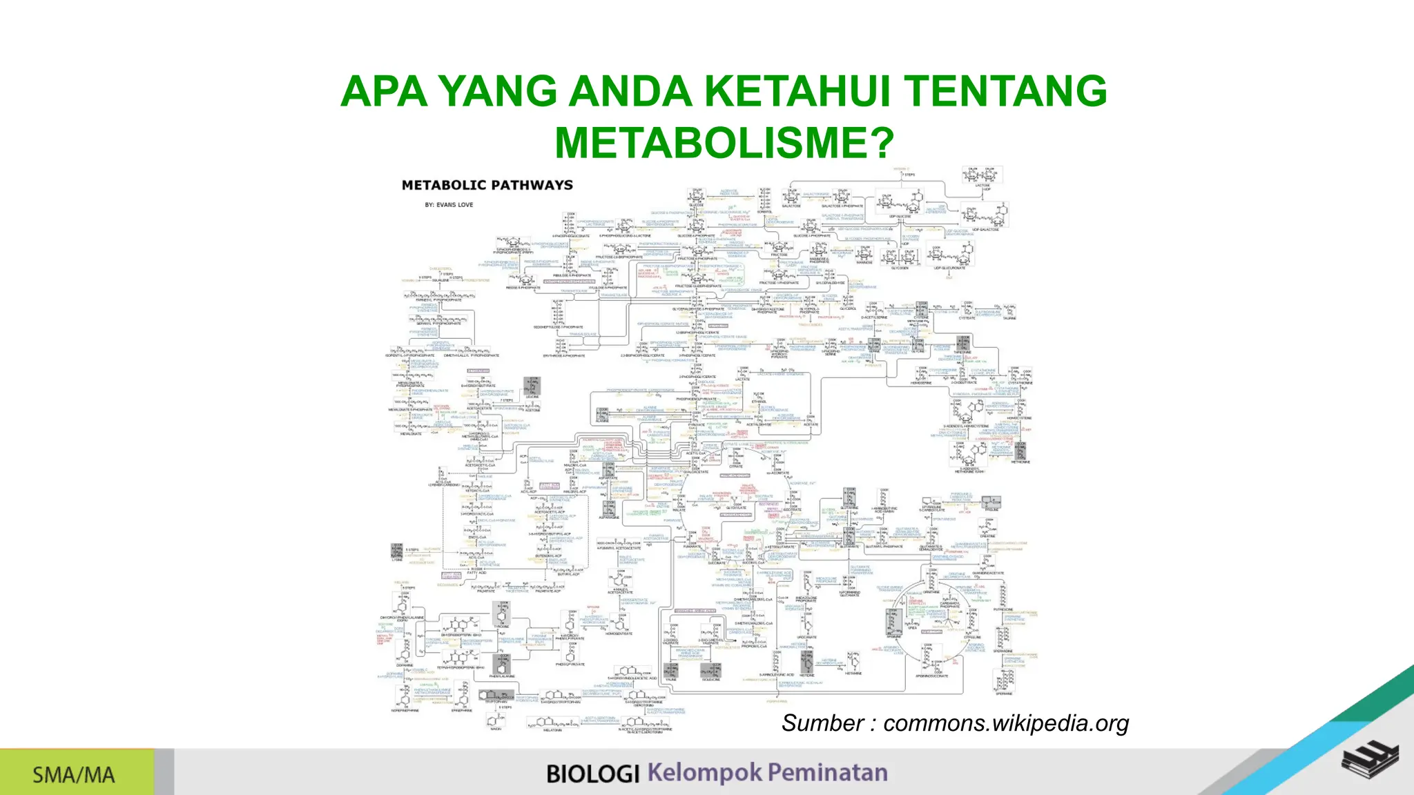 BAB 2 enzim dan metabolisme kelas XII Fpptx | PPTX
