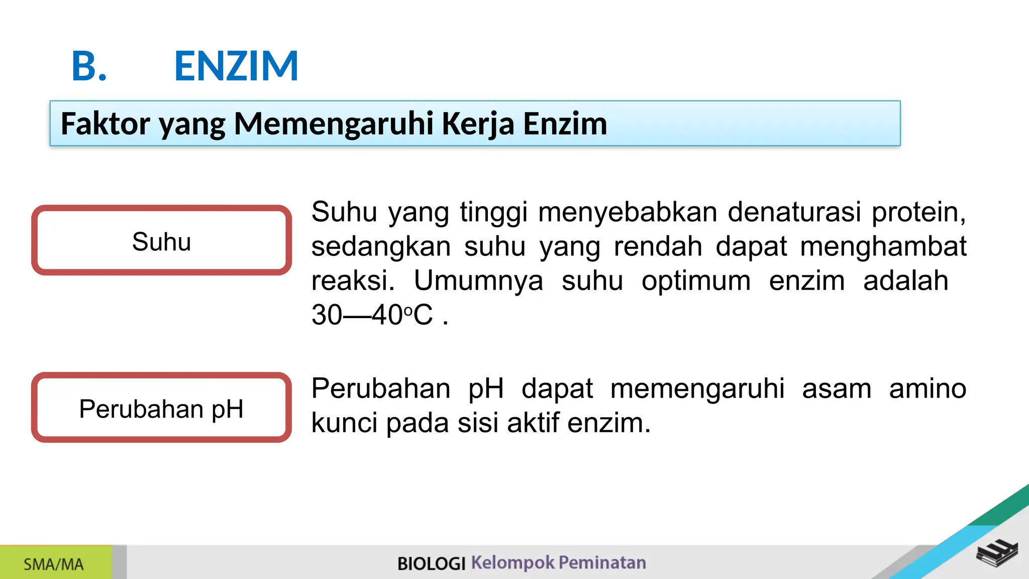 BAB 2 enzim dan metabolisme kelas XII Fpptx | PPTX
