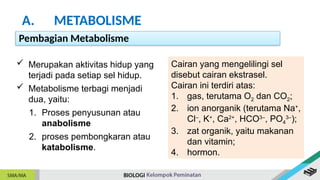 BAB 2 enzim dan metabolisme kelas XII Fpptx | PPTX