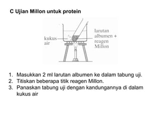 Bab 2 nutrisi | PPTX