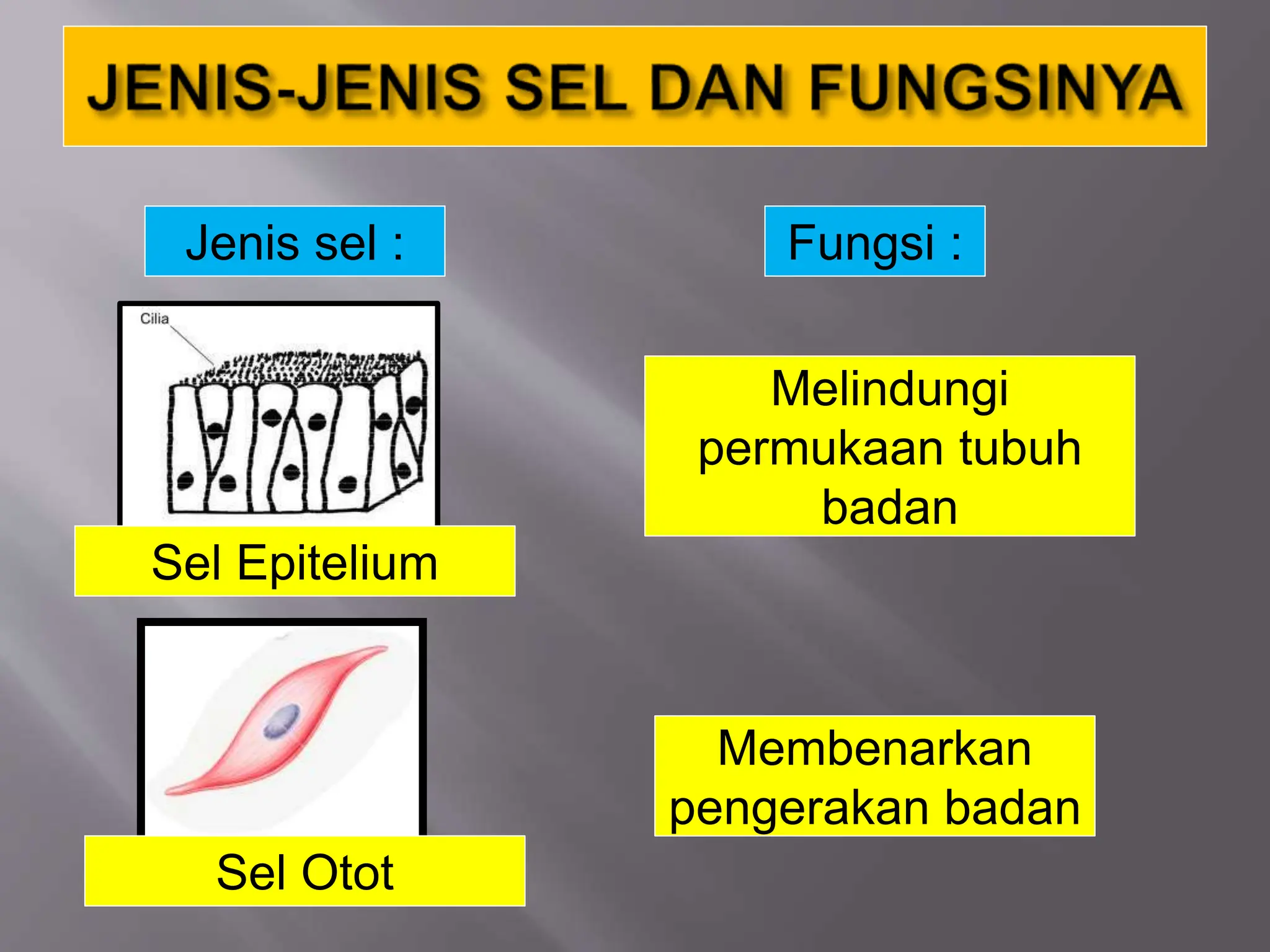 Topik 2.1 Organisasi Sel (Sains Tingkatan 1) | PPT