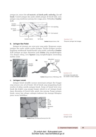 Bab 2 Organisasi TIngkat Jaringan.pdf