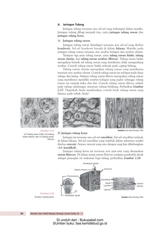 Bab 2 Organisasi TIngkat Jaringan.pdf