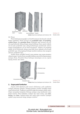 Bab 2 Organisasi TIngkat Jaringan.pdf