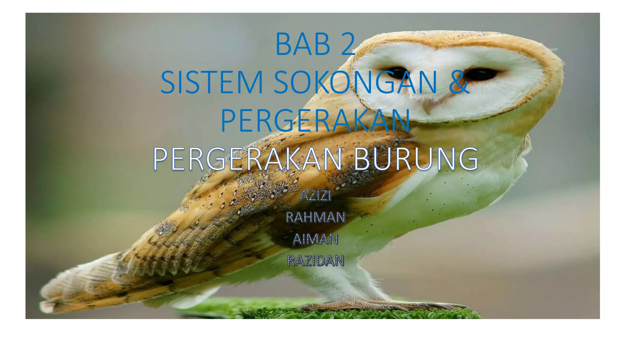 Bab 2 TING 5 Pergerakan Burung | PPTX