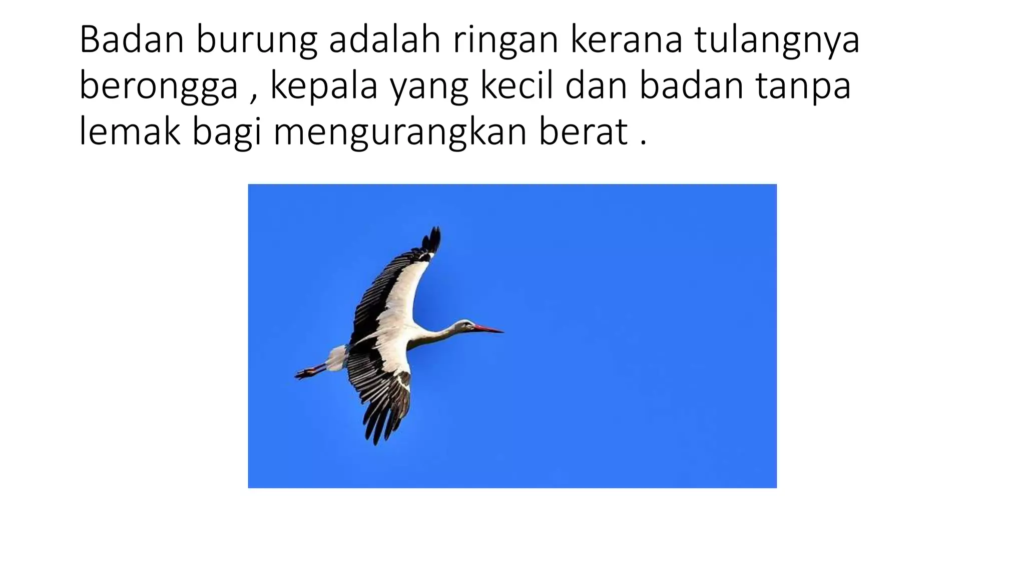 Bab 2 TING 5 Pergerakan Burung | PPTX