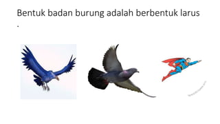 Bab 2 TING 5 Pergerakan Burung | PPTX